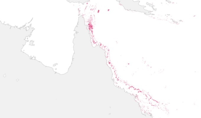 Coral Reefs | Copernicus Marine Service