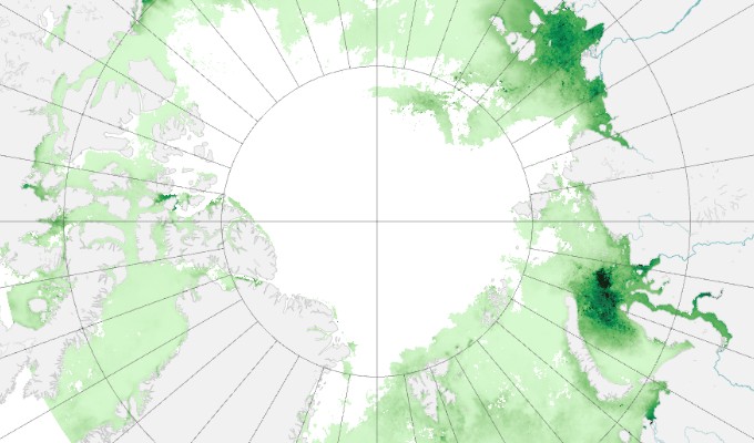 Arctic Ocean Colour Plankton MY L4 daily climatology and monthly ...