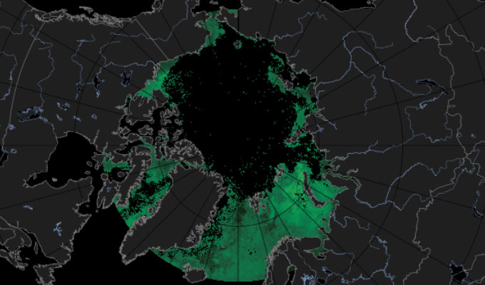 Arctic Ocean Colour Plankton and Transparency L4 NRT monthly observations | Copernicus Marine ...