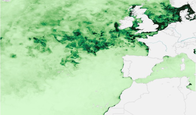 Atlantic Ocean Colour (Copernicus-GlobColour), Bio-Geo-Chemical, L4 ...