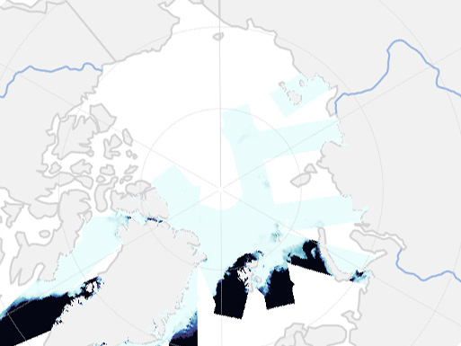 Arctic Ocean - High Resolution Sea Ice Information L3 | Copernicus ...
